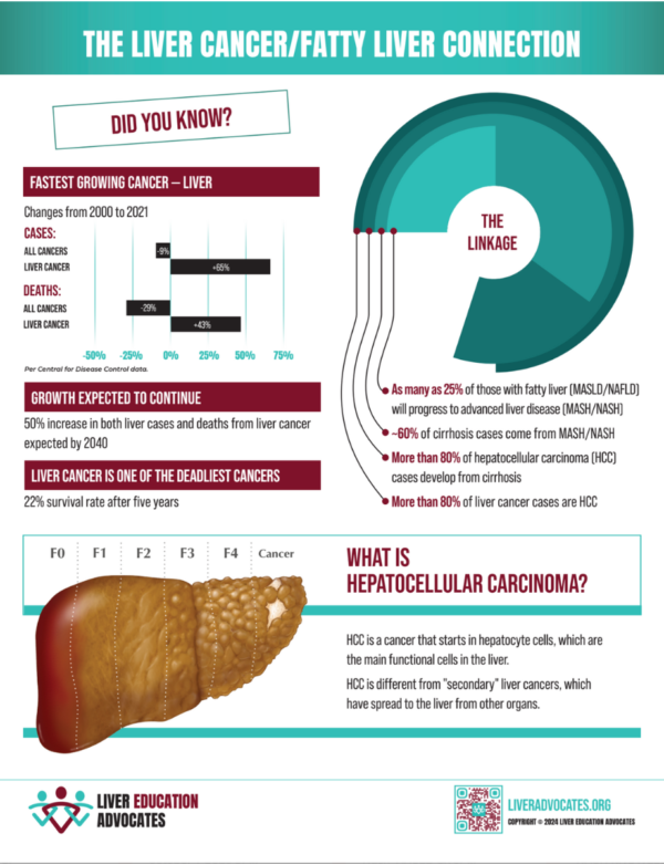 Patients and Caregivers Support for Fatty Liver Disease - Liver ...